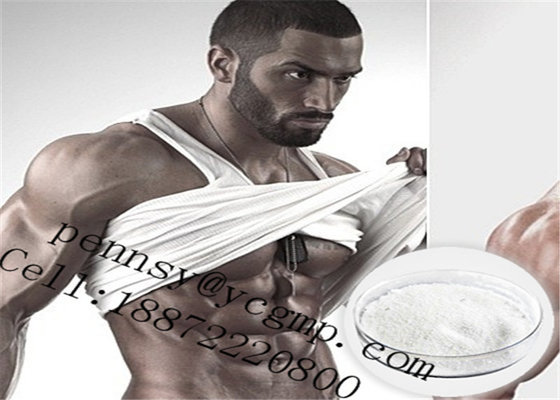 99% Raw Testosterone Enanthate Powder 315-37-7 for Muscle Gain