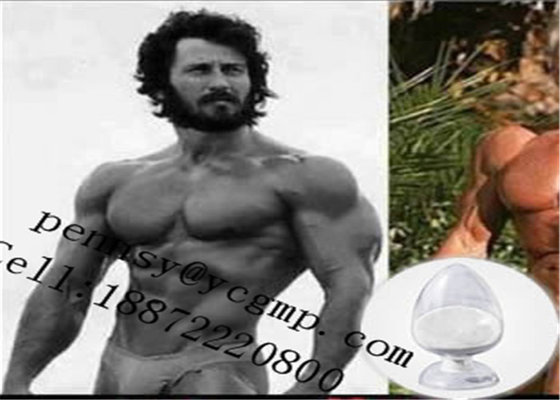 Muscle Builder Steroids Testosterone Enanthate CAS:315-37-7