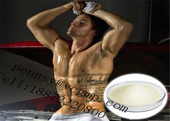 99% Raw Testosterone Enanthate Powder 315-37-7 for Muscle Gain