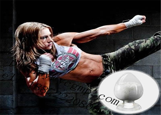 99% Raw Testosterone Enanthate Powder 315-37-7 for Muscle Gain
