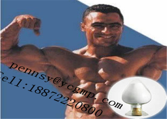 Hot sale! Testosterone Acetate CAS:1045-69-8 Steroid hormone for muscle building