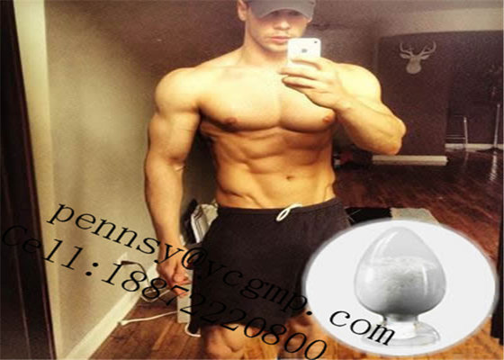Hot sale! Testosterone Acetate CAS:1045-69-8 Steroid hormone for muscle building