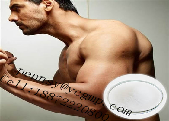 Hot sale! Testosterone Acetate CAS:1045-69-8 Steroid hormone for muscle building