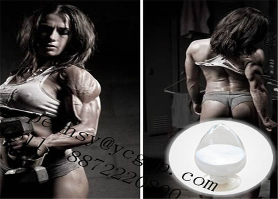 99% Raw Testosterone Enanthate Powder 315-37-7 for Muscle Gain
