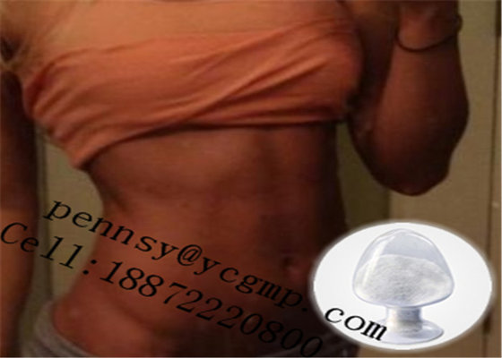 99% Raw Testosterone Enanthate Powder 315-37-7 for Muscle Gain