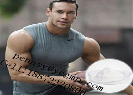 99% Purity Steroids Testosterone Phenylpropionate for Muscle Growth 1255-49-8