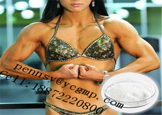 Raw Powders Testosterone Sustanon250 with High Purity&Safe Packing