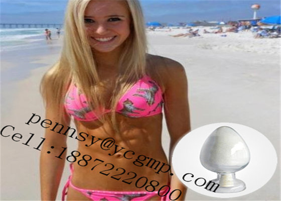 Factory Supply 99% Steroid Hormone Testosterone Cypionate 58-20-8 for Muscle building