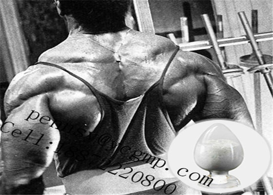 Factory Supply 99% Steroid Hormone Testosterone Cypionate 58-20-8 for Muscle building