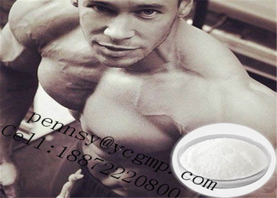 Factory Supply 99% Steroid Hormone Testosterone Cypionate 58-20-8 for Muscle building