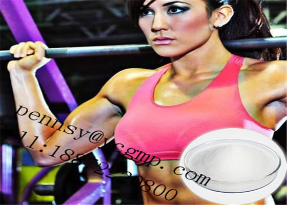 Hot sale! Testosterone Acetate CAS:1045-69-8 Steroid hormone for muscle building