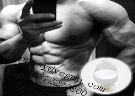 Test p 57-85-2 Legal Muscle Building Steroids For Men Testosterone Propionate