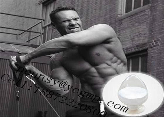 Muscle Building Depot Testosterone Enanthate Steroid Hormone with white powder CAS: 315-37-7