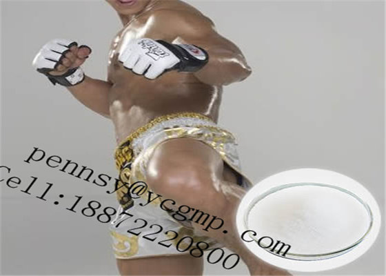 Muscle Building Depot Testosterone Enanthate Steroid Hormone with white powder CAS: 315-37-7