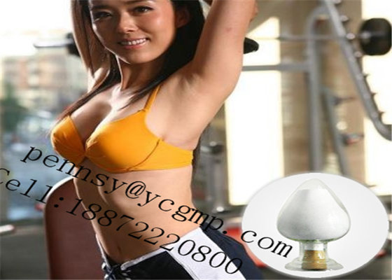 Muscle Building Depot Testosterone Enanthate Steroid Hormone with white powder CAS: 315-37-7