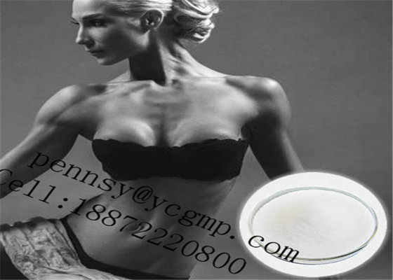 99% Testosterone Undecanoate 5949-44-0 Steroid Powder for Body Building