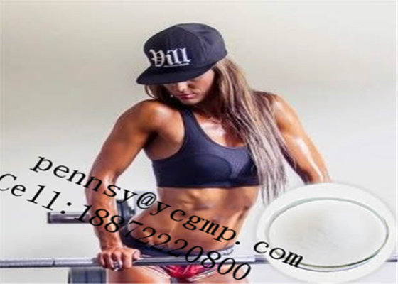 99% Testosterone Undecanoate 5949-44-0 Steroid Powder for Body Building