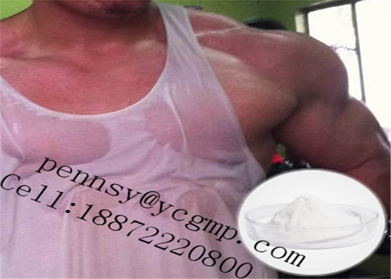 Body Builder 17-Methyltestosteron, Methyltestosteron  CAS: 58-18-4