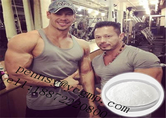 Body Builder 17-Methyltestosteron, Methyltestosteron  CAS: 58-18-4