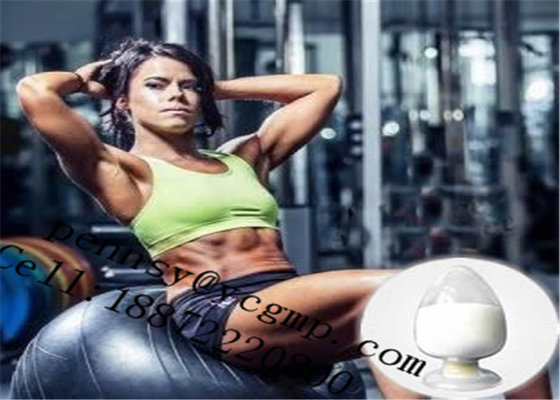 Fat Burning Clostebol Acetate 4-Chlorotestosterone Acetate CAS:855-19-6