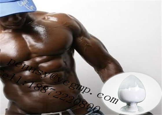 Fat Burning Clostebol Acetate 4-Chlorotestosterone Acetate CAS:855-19-6