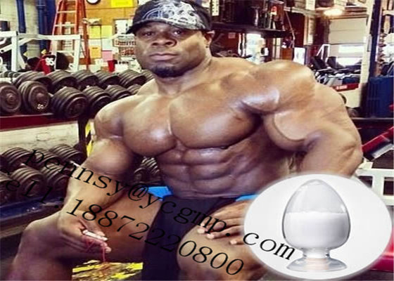 99% Anabolic Bodybuilding Seroids Stanolone 521-18-6