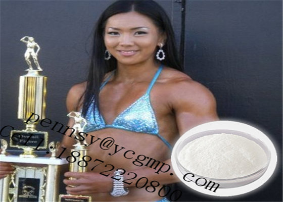 99% Purity Steroids Testosterone Phenylpropionate for Muscle Growth 1255-49-8