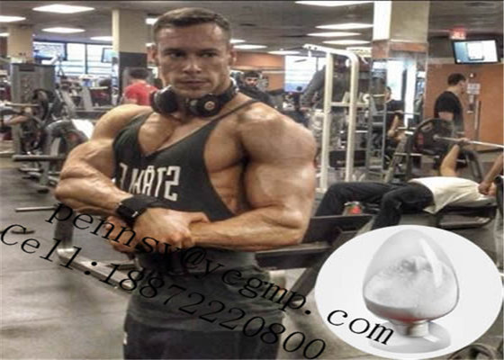 Factory Direct Supply  Muscle Gain Steroids 58-20-8 Testosterone Cypionate/Test Cyp