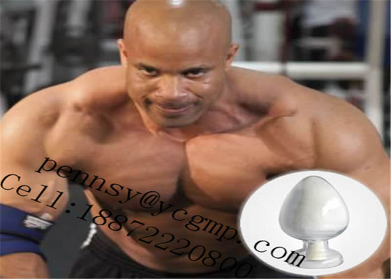 Factory Supply Positive 99% Bodybuilding 62-90-8 Nandrolone Phenylpropionate Durabolin