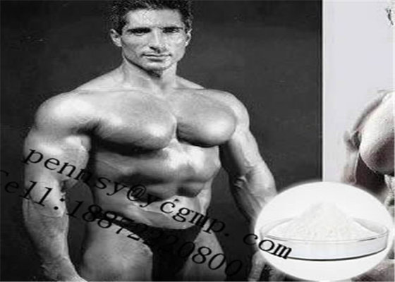 Test p 57-85-2 Legal Muscle Building Steroids For Men Testosterone Propionate