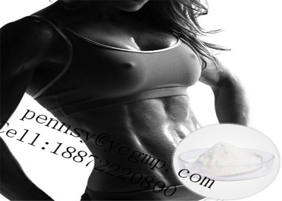 Test p 57-85-2 Legal Muscle Building Steroids For Men Testosterone Propionate
