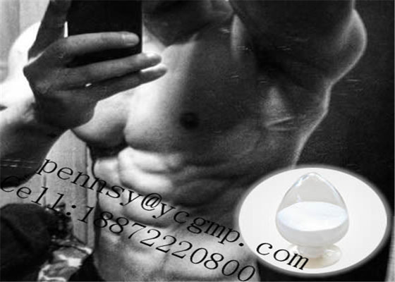 99% Purity Steroid 1-Testos-Terone CAS: 65-06-5 for Muscle Gain
