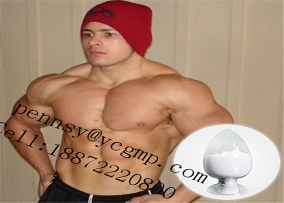 Halotestin Fluoxymesterone Powder Anti Breast Cancer 76-43-7