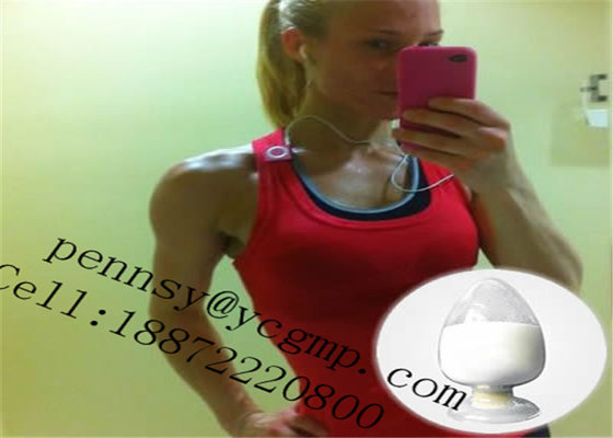 No Side Effect Bodybuilding Supplements Nandrolone Base White Fine Powder  434-22-0