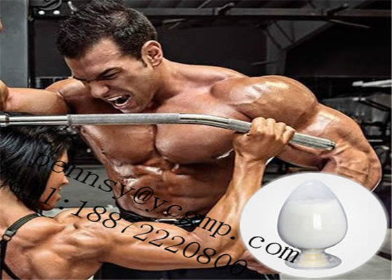 No Side Effect Bodybuilding Supplements Nandrolone Base White Fine Powder  434-22-0