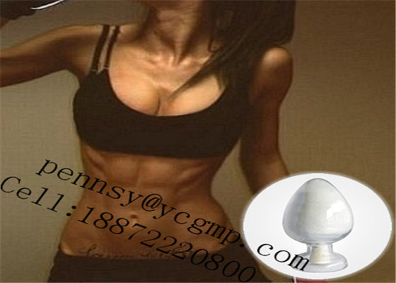 Body Builder 17-Methyltestosteron, Methyltestosteron  CAS: 58-18-4