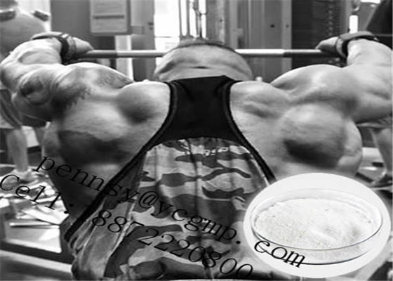 Body Builder 17-Methyltestosteron, Methyltestosteron  CAS: 58-18-4