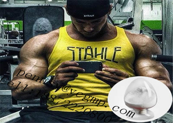 Body Builder 17-Methyltestosteron, Methyltestosteron  CAS: 58-18-4