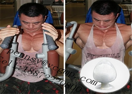 Raw Steroid CAS 2446-23-3 4-Chlorodehydromethyltestosterone Oral Turinabol for Muscle Building