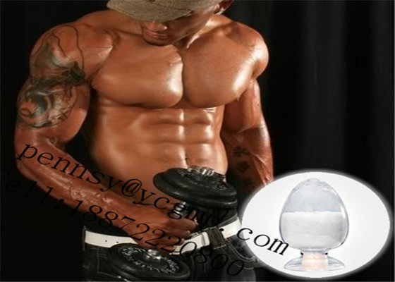 Fat Burning Clostebol Acetate 4-Chlorotestosterone Acetate CAS:855-19-6