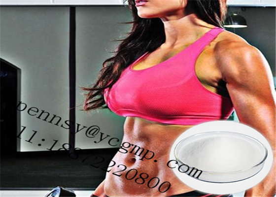 Fat Burning Clostebol Acetate 4-Chlorotestosterone Acetate CAS:855-19-6