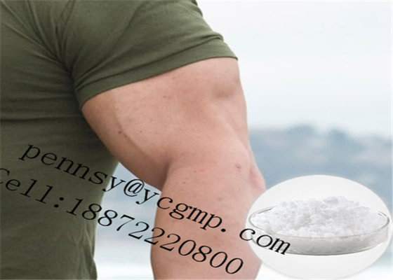 Fat Burning Clostebol Acetate 4-Chlorotestosterone Acetate CAS:855-19-6