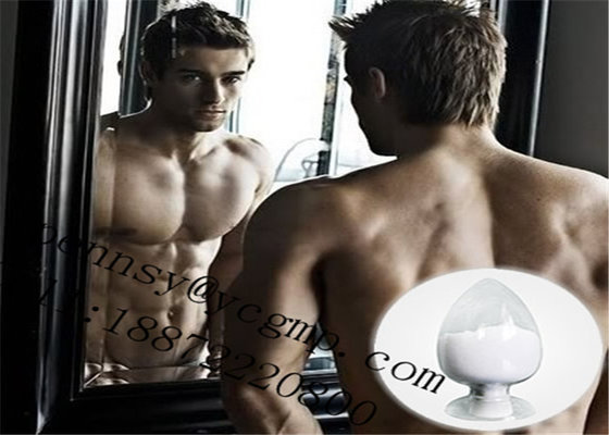 Fat Burning Clostebol Acetate 4-Chlorotestosterone Acetate CAS:855-19-6