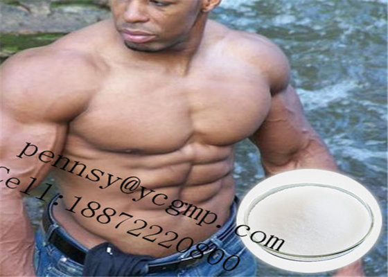 Fat Burning Clostebol Acetate 4-Chlorotestosterone Acetate CAS:855-19-6