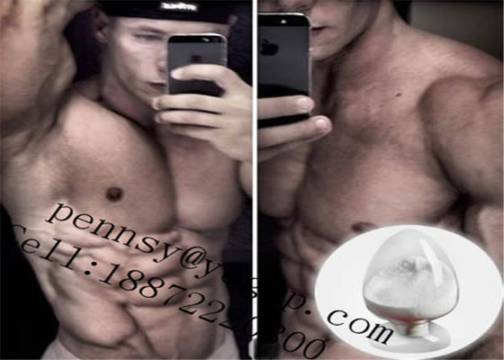 99% Mestanolone Ace Gain Muscle Steroid with white powder 521-11-9 Safe Delivery