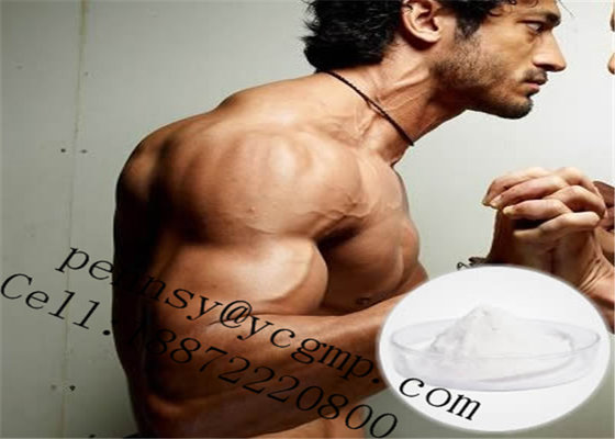 99% Mestanolone Ace Gain Muscle Steroid with white powder 521-11-9 Safe Delivery