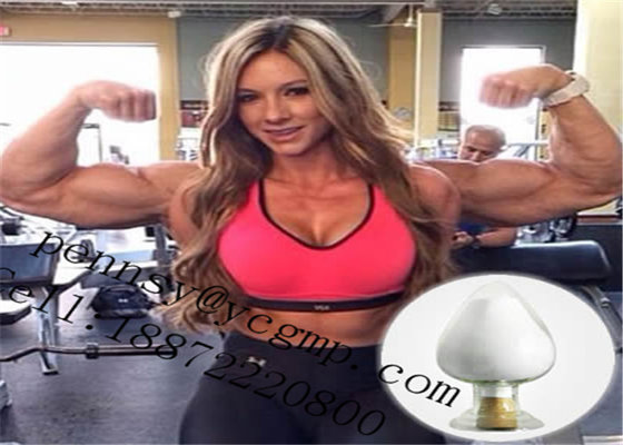 99% Mestanolone Ace Gain Muscle Steroid with white powder 521-11-9 Safe Delivery