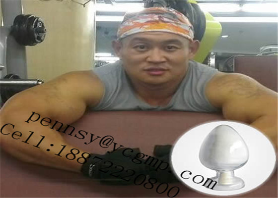 99% Purity Testosterone Undecanoate CAS 5949-44-0 Steroid, Injectable White Powder for Body Building