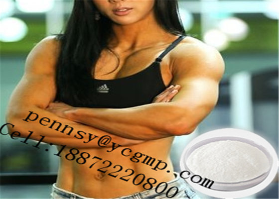 99% Purity Testosterone Undecanoate CAS 5949-44-0 Steroid, Injectable White Powder for Body Building