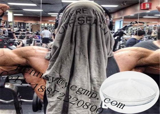 99% Purity Testosterone Undecanoate CAS 5949-44-0 Steroid, Injectable White Powder for Body Building